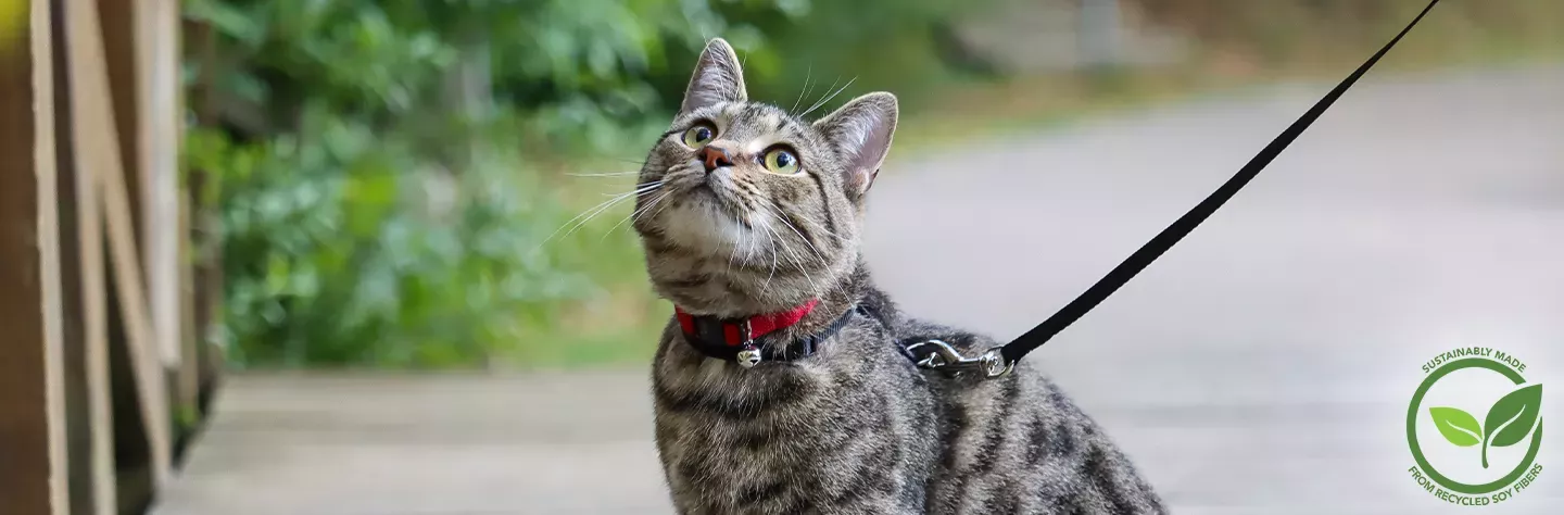 Coastal Pet Products | Coastal Pet Products